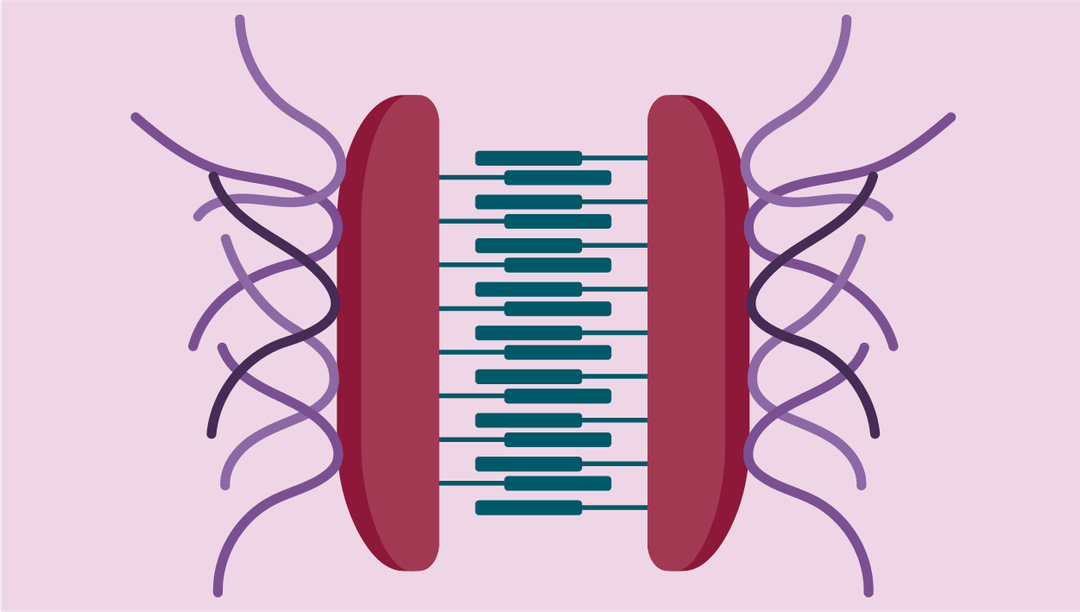 Free Proteins Icons, Symbols & Images | BioRender