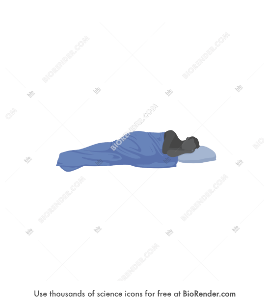 Free Sleeping person (adult) Icons, Symbols & Images | BioRender