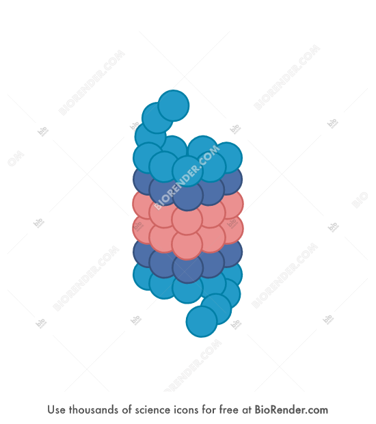 Free Proteasome Icons, Symbols & Images | BioRender