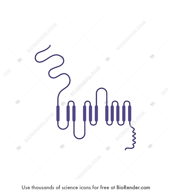 Free Polycystin 1 Icons, Symbols & Images | BioRender