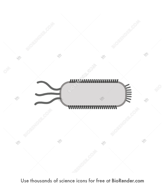 Free Phage display (blank) Icons, Symbols & Images | BioRender