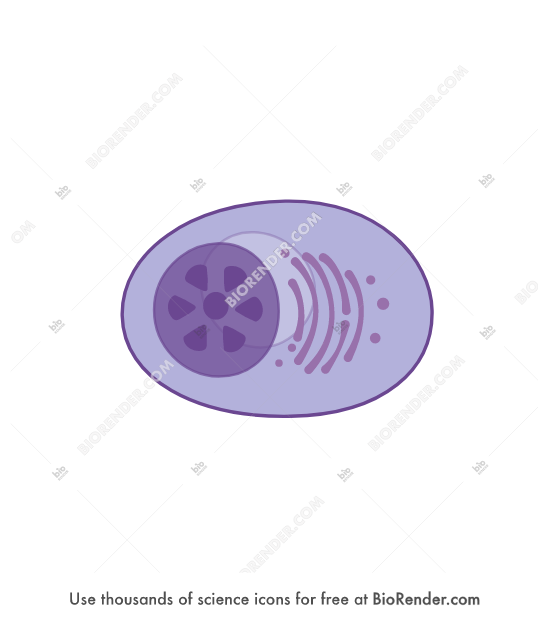 Free Plasma cell Icons, Symbols & Images | BioRender