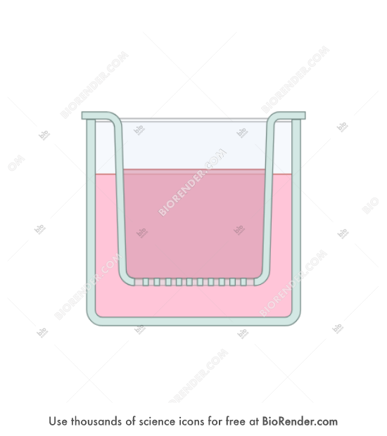 Free Transwell filter (side view, 1) Icons, Symbols & Images | BioRender