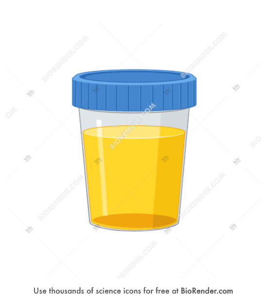 Free Urine sample Icons, Symbols & Images | BioRender
