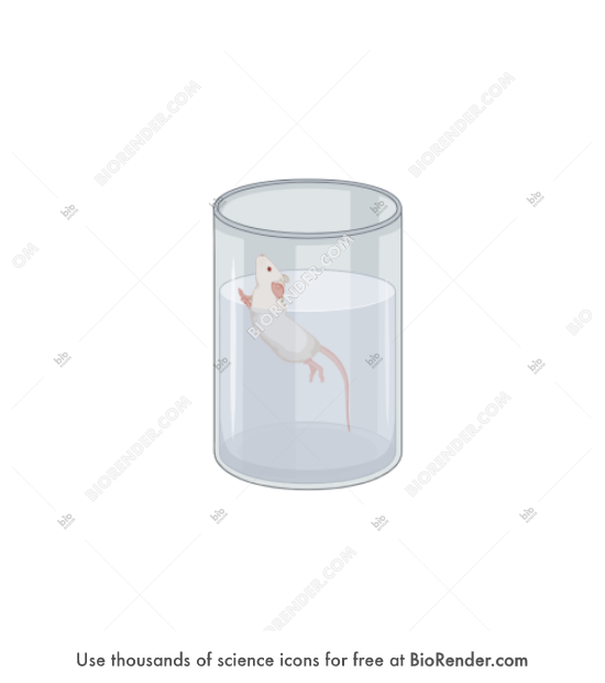 Free Rat (forced swim test) Icons, Symbols & Images | BioRender