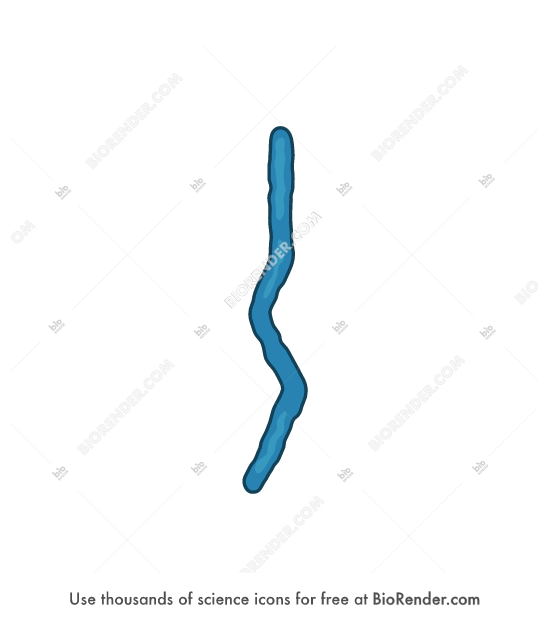 Free TPO receptor (active, monomer) Icons, Symbols & Images | BioRender