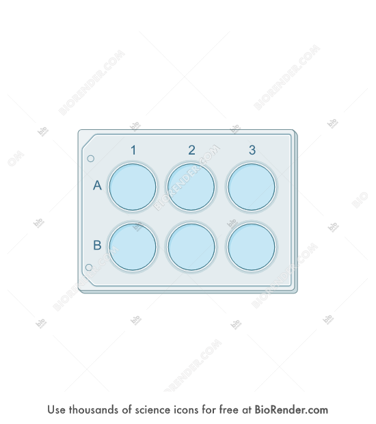 Free Well plate (top view, 6 wells) Icons, Symbols & Images | BioRender