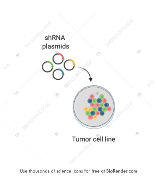 Free shRNA screen Icons, Symbols & Images | BioRender