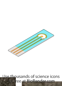 Free Screen-printed electrode Icons, Symbols & Images | BioRender