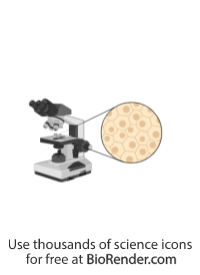 Free Microscope (tissue sample) Icons, Symbols & Images | BioRender