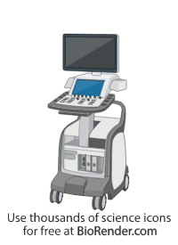 Free Echocardiogram Icons, Symbols & Images | BioRender