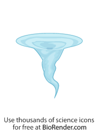 Free Vortex Icons, Symbols & Images | BioRender