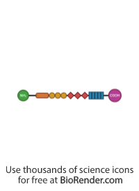 Free TSP-1 Icons, Symbols & Images | BioRender