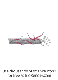 Free Microtubule (disintegrating, with tau protein tangle) Icons ...