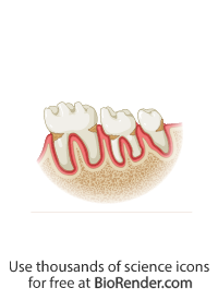 Free Mouse teeth (molars, gums, gingivitis) Icons, Symbols & Images ...