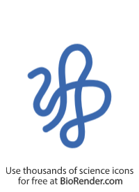 Free Protein denaturation 1 Icons, Symbols & Images | BioRender
