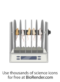 Free Rotarod (with mice) Icons, Symbols & Images | BioRender