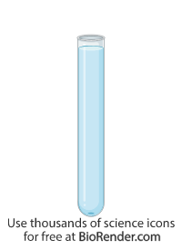 Free Test tube (15ml, 4/4 liquid) Icons, Symbols & Images | BioRender