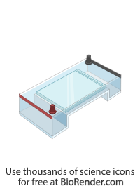 Free Gel electrophoresis horizontal (with cathode and anode) Icons ...