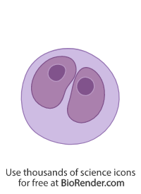 Free Reed–Sternberg cells Icons, Symbols & Images | BioRender