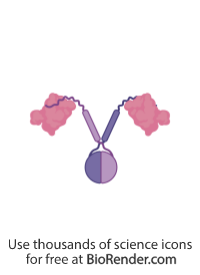 Free PhD-Doc (antitoxin-toxin) Icons, Symbols & Images | BioRender