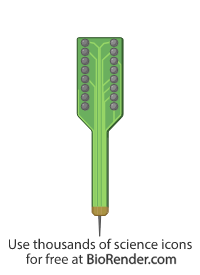Free Neural probe Icons, Symbols & Images | BioRender