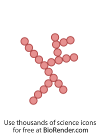 Free Protein particulate (branched) Icons, Symbols & Images | BioRender