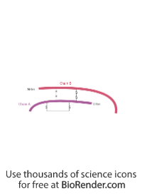 Free Insulin modification (3. Insulin) Icons, Symbols & Images | BioRender