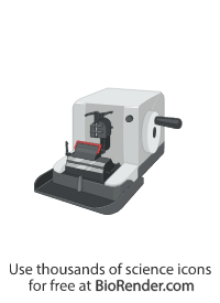 Free Microtome Icons, Symbols & Images | BioRender