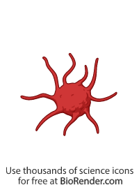 Free Platelet (active) Icons, Symbols & Images | BioRender