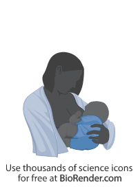 Free Breastfeeding Icons, Symbols & Images | BioRender