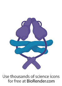 Free TGF-β latent complex Icons, Symbols & Images | BioRender
