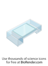 Free Gel electrophoresis horizontal Icons, Symbols & Images | BioRender