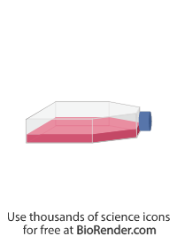 Free T flask Icons, Symbols & Images | BioRender