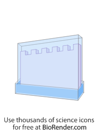 Free Gel electrophoresis Icons, Symbols & Images | BioRender