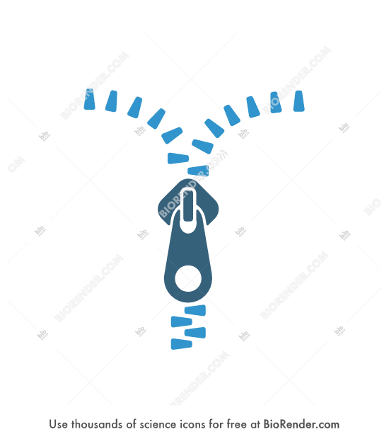 Free Zipper Icons, Symbols & Images | BioRender
