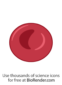 Free Red blood cell 3 Icons, Symbols & Images | BioRender