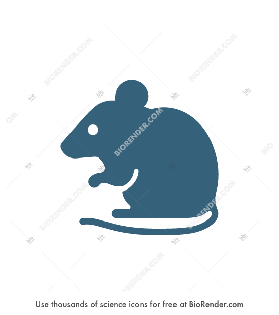Free Mouse (symbol) 3 Icons, Symbols & Images | BioRender