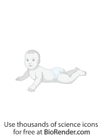 Free Baby (on tummy) Icons, Symbols & Images | BioRender