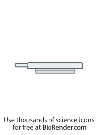 Free Gravity column cap (schematic) Icons, Symbols & Images | BioRender