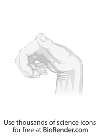 Free Hand with spasticity Icons, Symbols & Images | BioRender