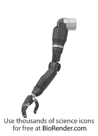 Free Prosthesis (arm, robotic) Icons, Symbols & Images | BioRender