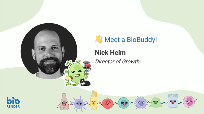 Inside BioRender with the Director of Growth