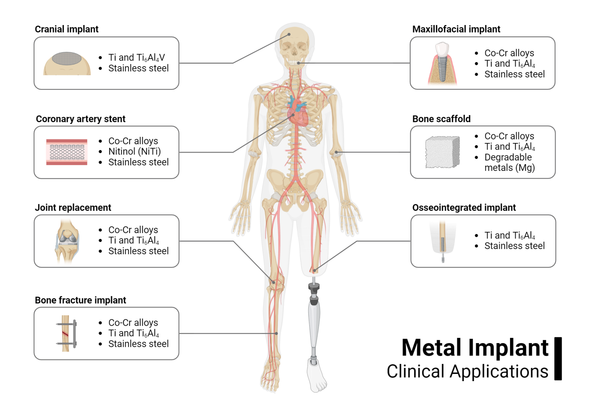 Metal Implant Clinical Applications BioRender Science Templates Metal Implant Clinical Applications BioRender Science Templates