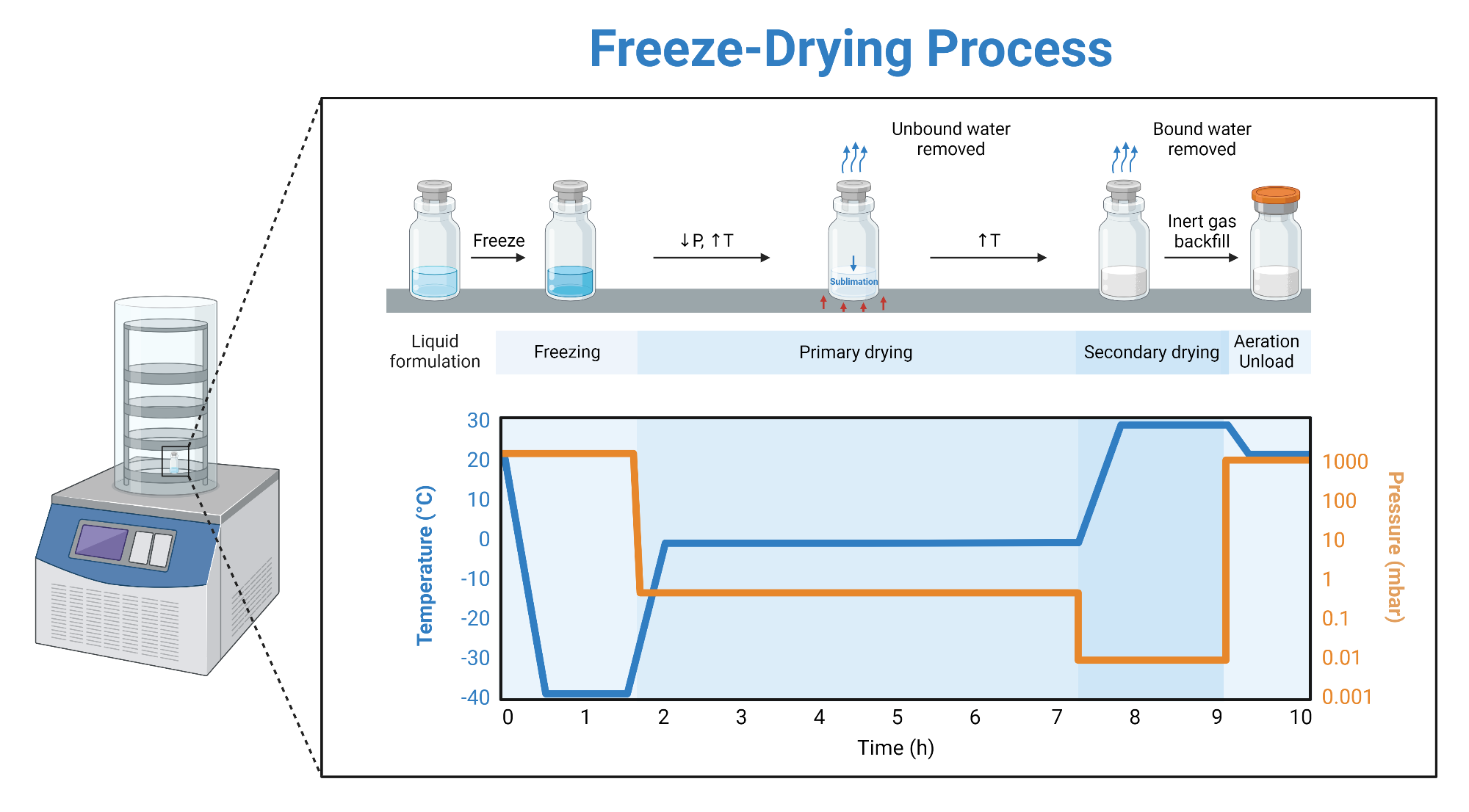 Freeze Drying Process Lyophilization Biorender Science Templates