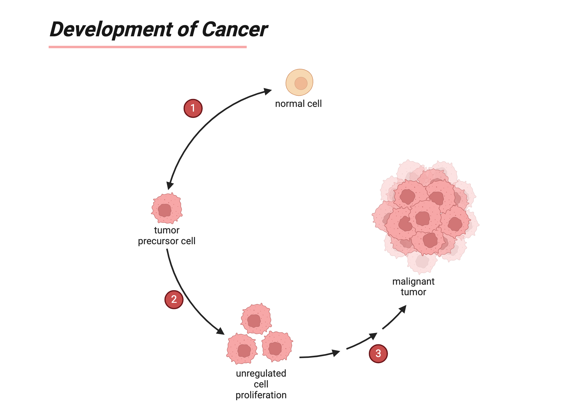 Development Of Cancer Biorender Science Templates
