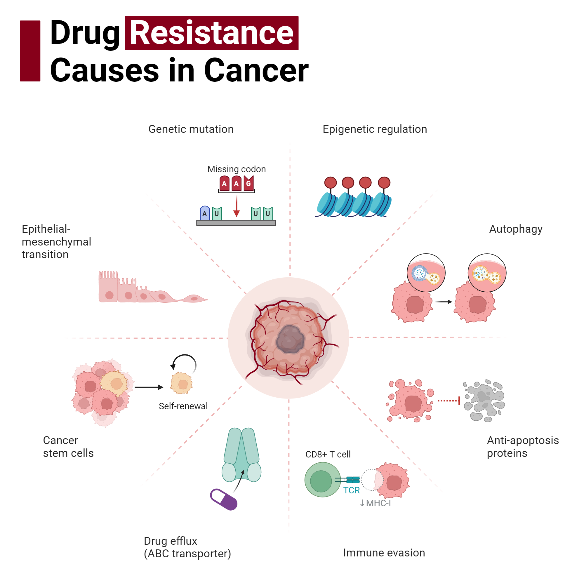 Drug Resistance Causes In Cancer | BioRender Science Templates