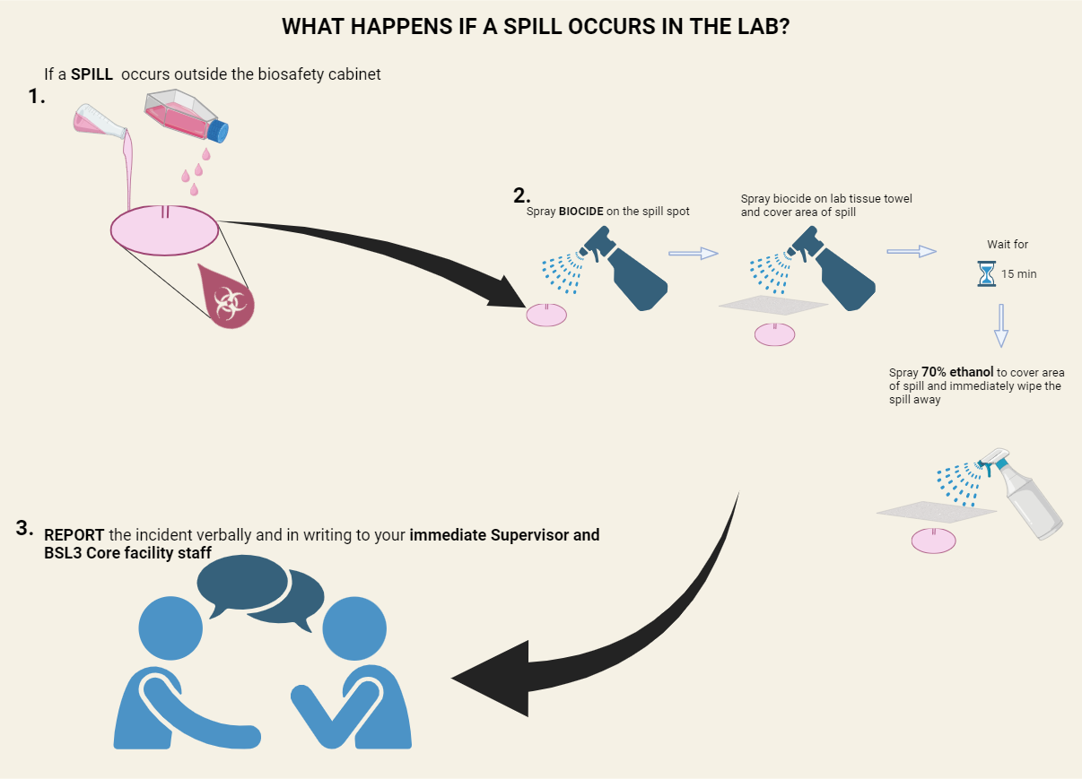 Spill in the lab | BioRender Science Templates