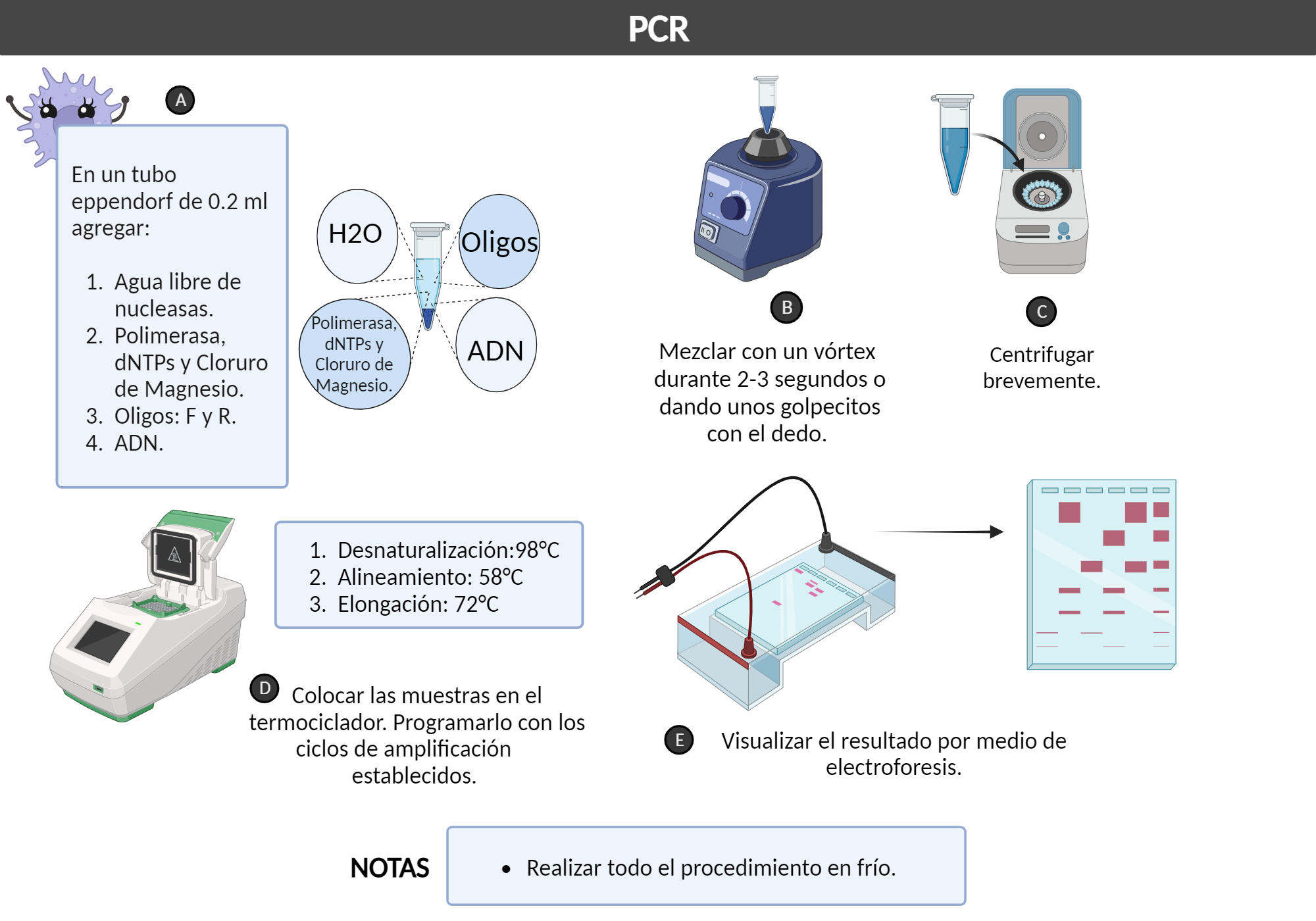 Make scientific figures in minutes using existing templates.