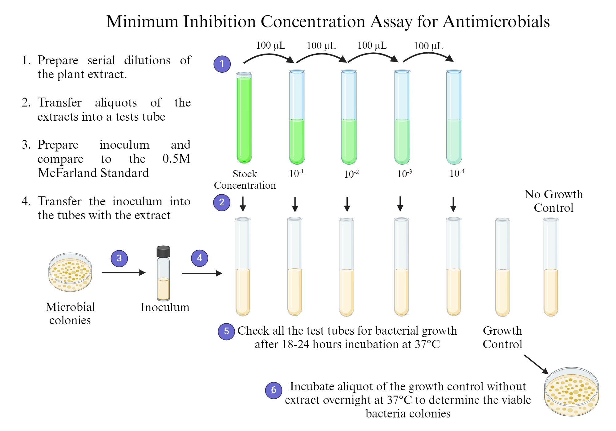 Minimum Inhibition Concentration for Antimicrobials | BioRender Science ...